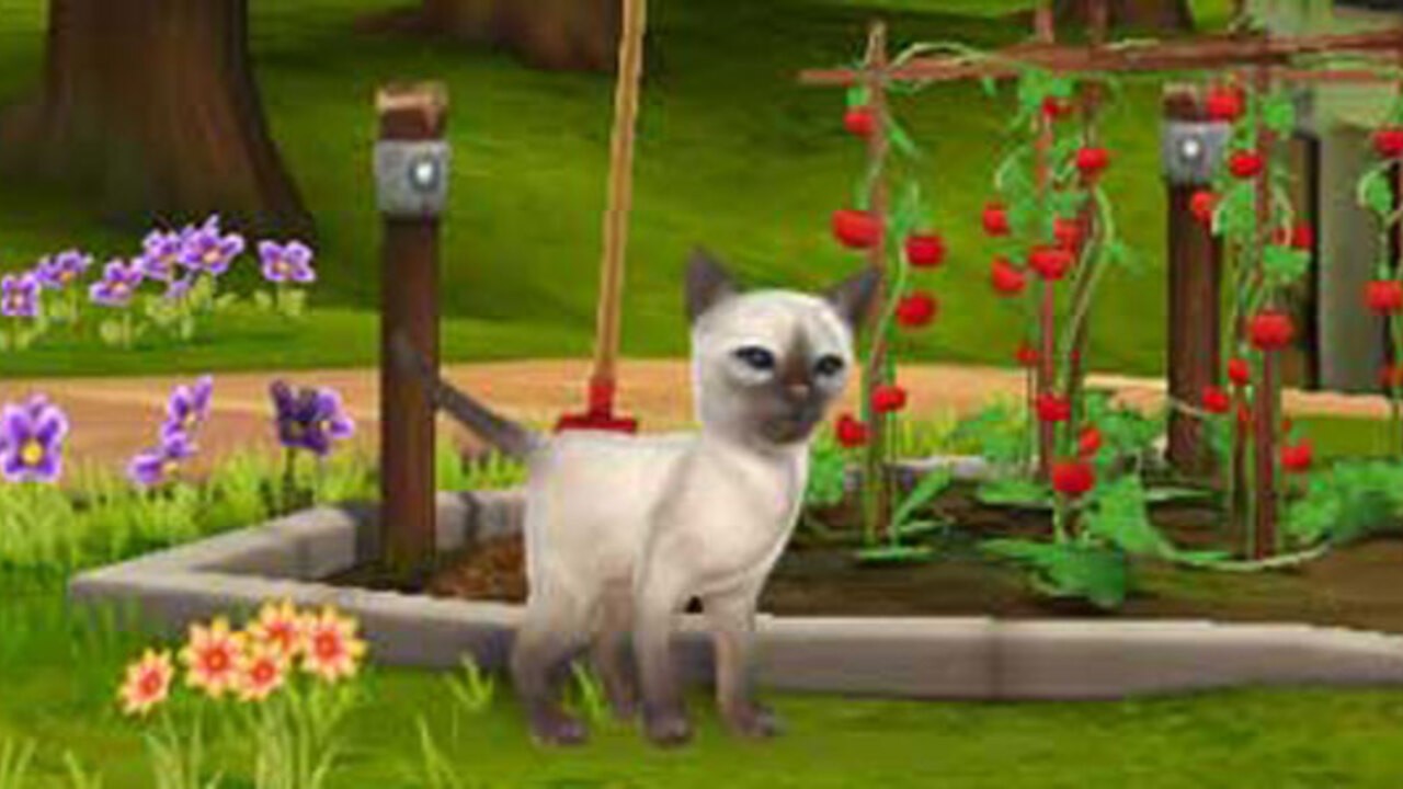 Pet Inn 3D Review (3DS eShop) | Nintendo Life