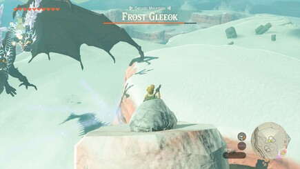 Zelda: Tears Of The Kingdom: All Gleeok Locations - How To Beat Flame ...