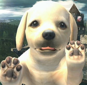 Nintendogs Nearly Went for a Wii in Your Living Room | Nintendo Life