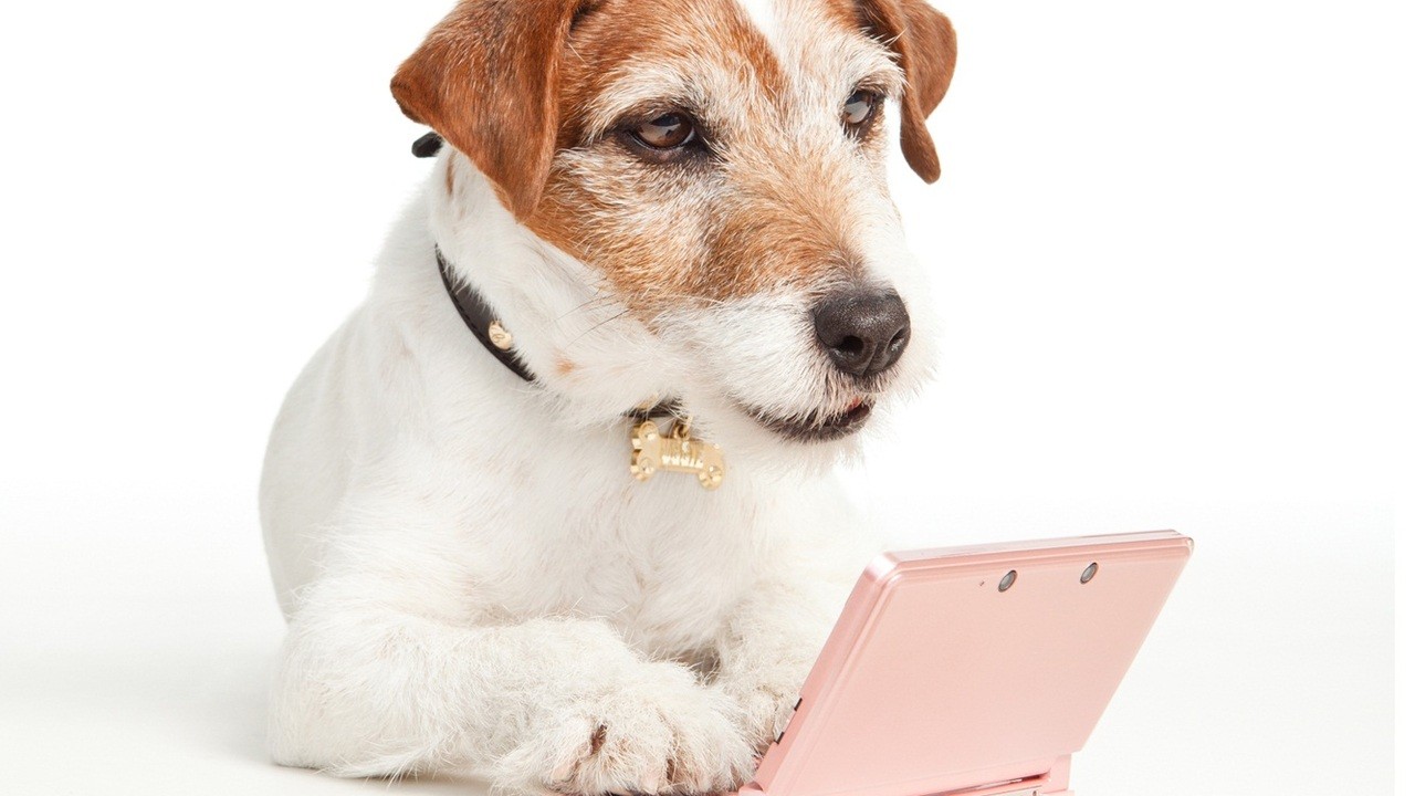 Here's a Dog Playing Nintendogs + Cats | Nintendo Life