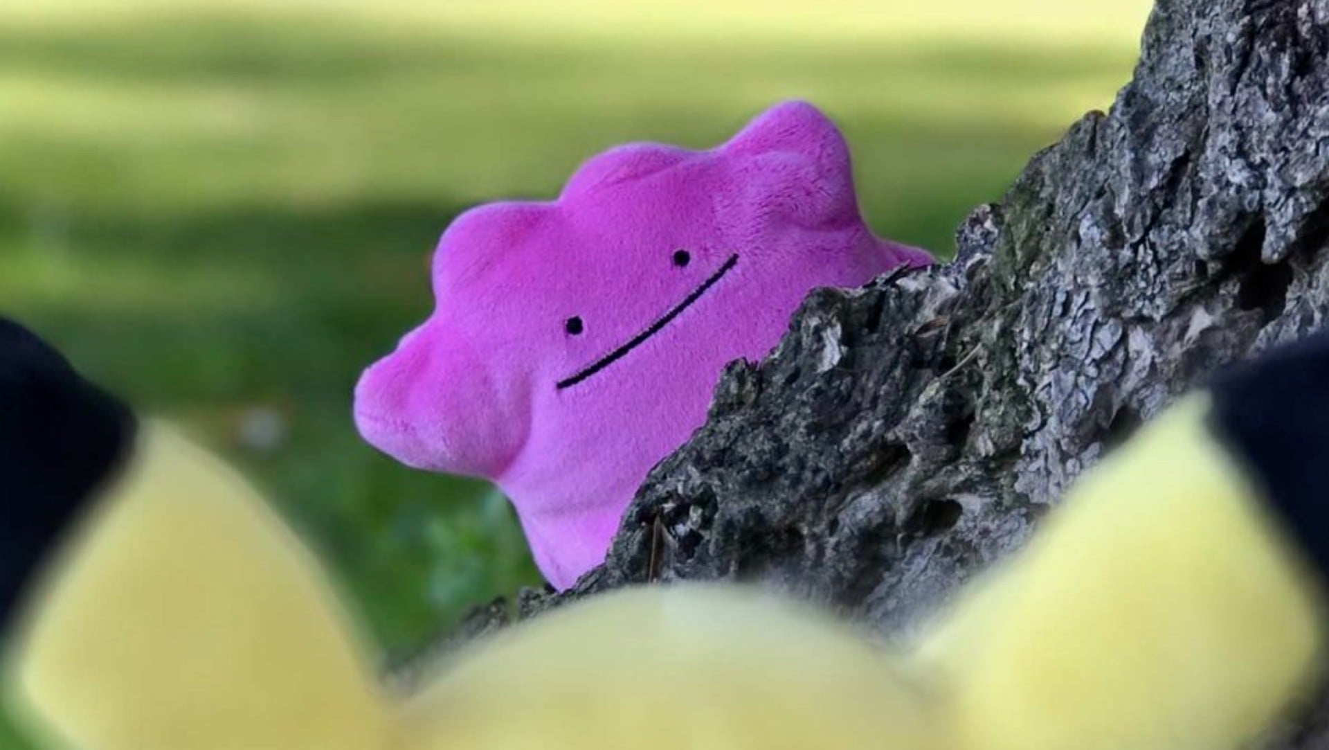 Pokémon Pokopia Pre-Orders Come With A Free Gift From Pokémon Center ...