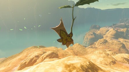 Zelda: Tears Of The Kingdom: Hebra Korok Seeds | Nintendo Life