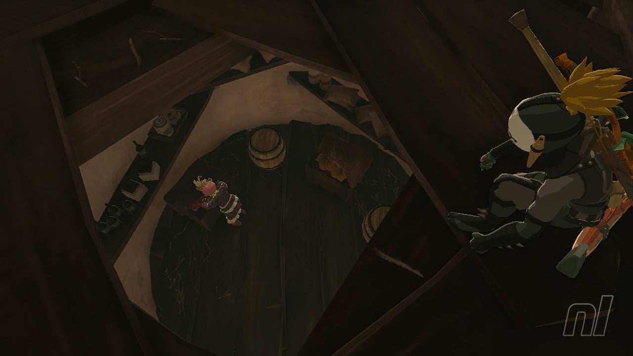 Zelda: Tears Of The Kingdom: How To Complete 'Cece's Secret' Side ...