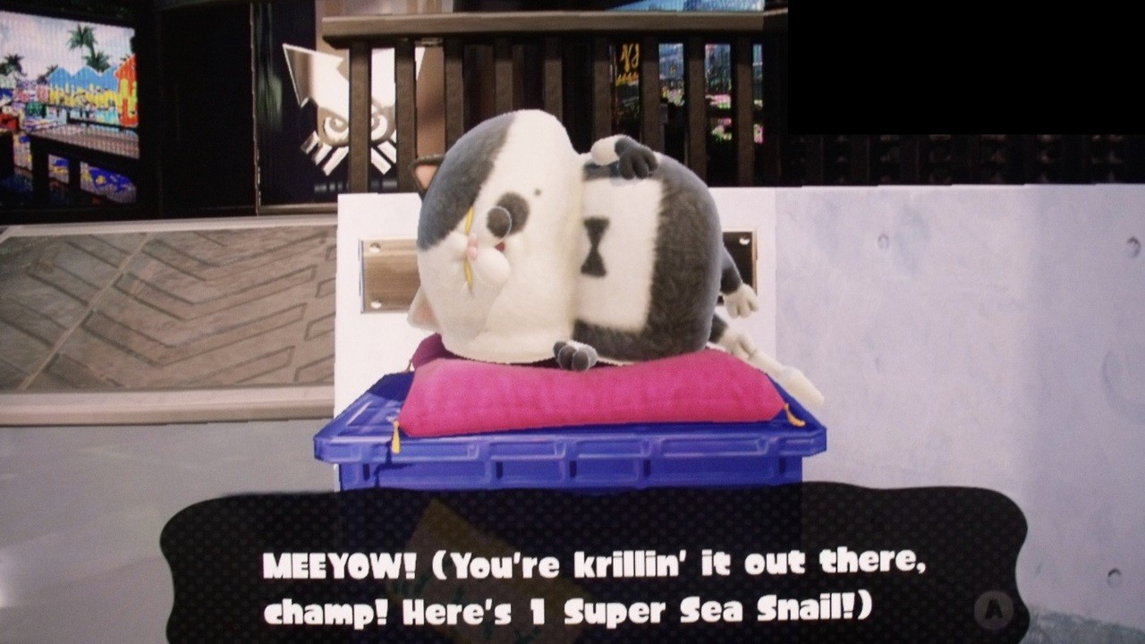 With Splatfests Finished, Judd Is Now Your Source of Super Sea Snails ...