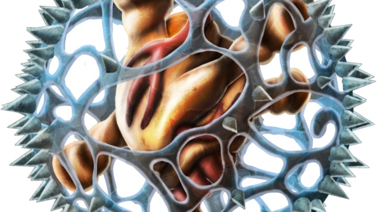 Metroid Database Needs Your Help with Series Bestiary | Nintendo Life