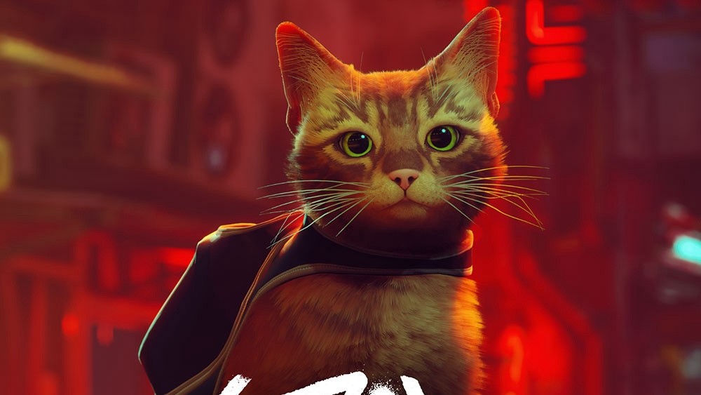 'Stray' Physical Edition Pounces Onto Switch Next Month, Pre-Orders Now ...