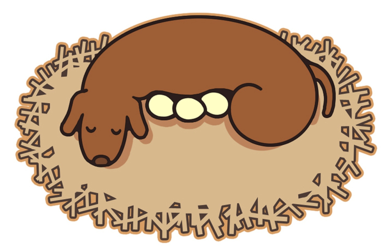 HAL Laboratory Celebrates 40th Anniversary With New Website And Artwork ...