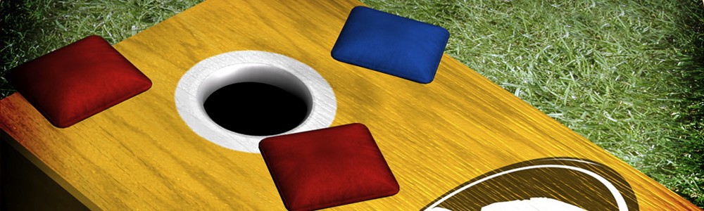 Target Toss Pro: Bags (2008) | WiiWare Game | Nintendo Life