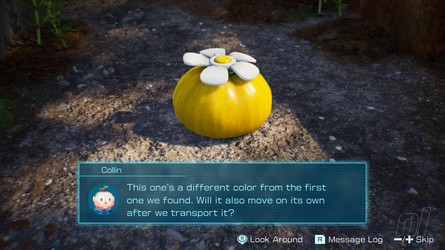 Pikmin 4: All Onion Upgrade & Flarlic Locations | Nintendo Life