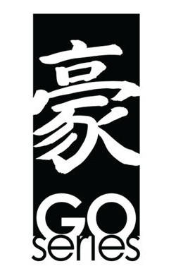 The Past, Present and Future of the GO Series - Feature | Nintendo Life