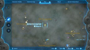 Zelda: Tears Of The Kingdom: All Sage's Will Locations, How To Use Sage ...