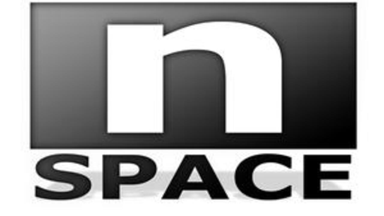 Former EA VP Named New President of n-Space | Nintendo Life