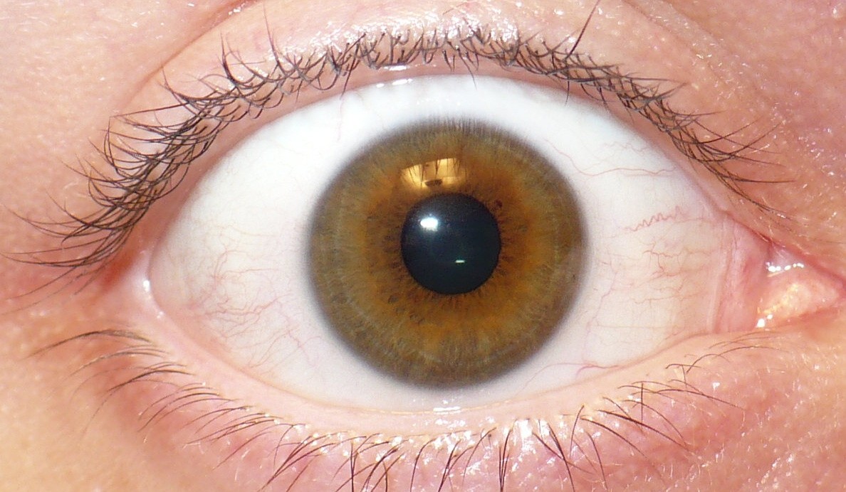 Keep Your Eyes Open For Spot the Differences: Party! On The Wii U eShop ...