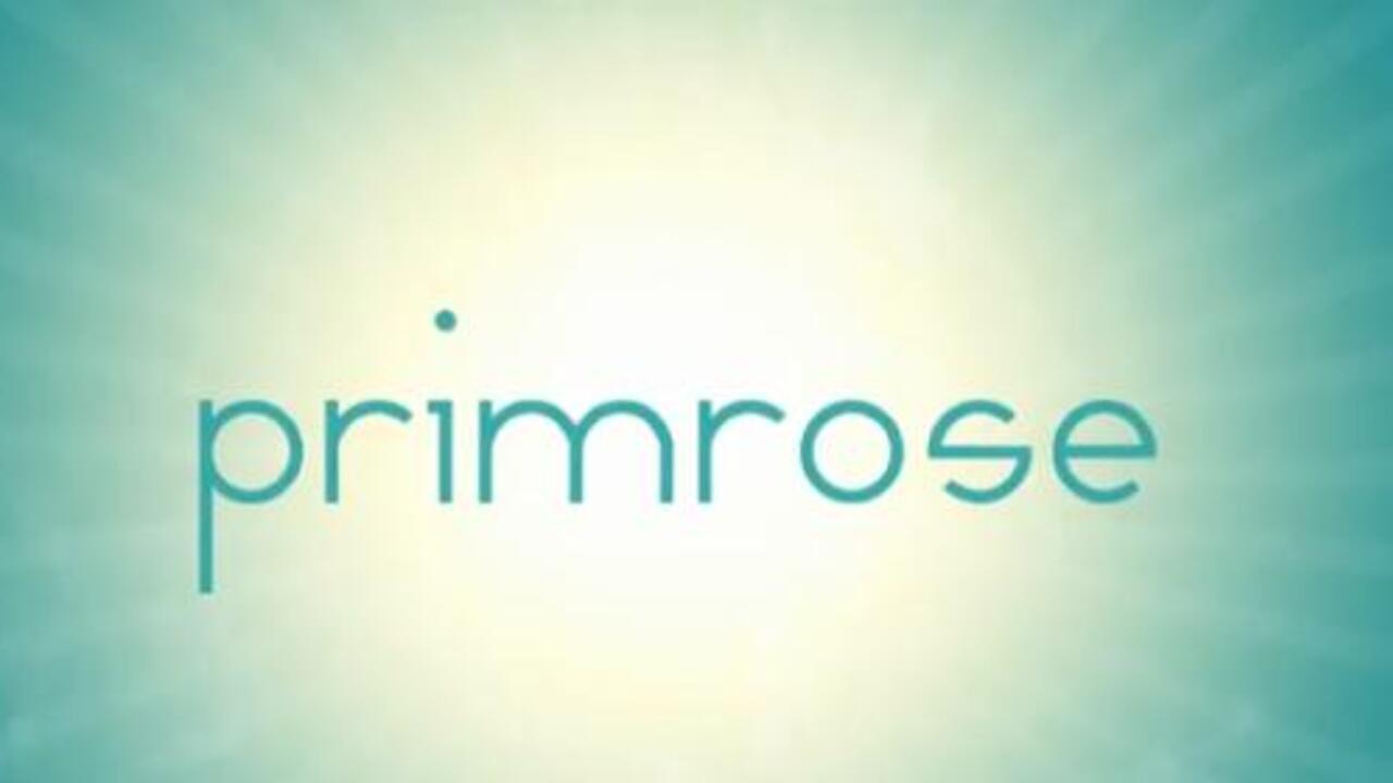 Primrose to Bring Colour and Relaxation to DSiWare | Nintendo Life