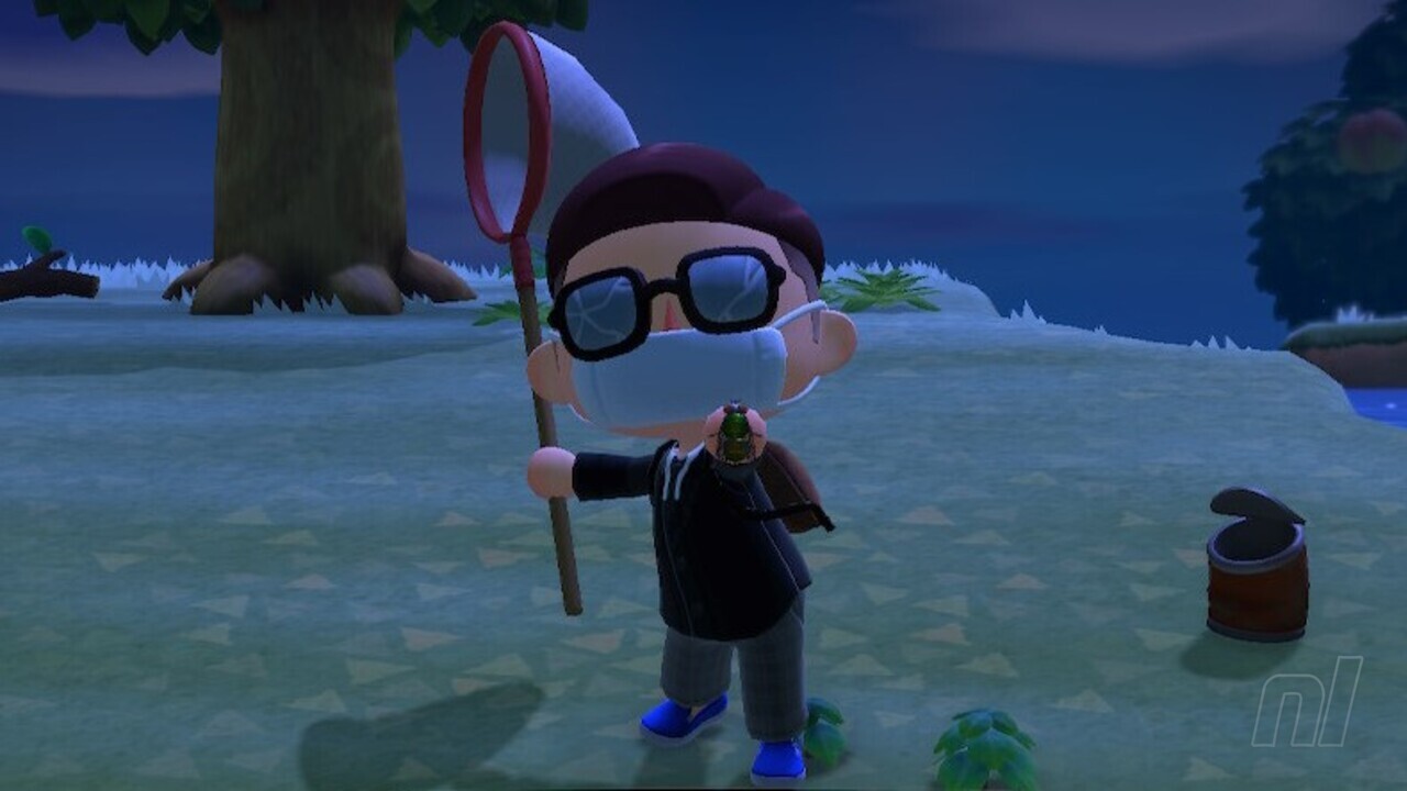Animal Crossing: New Horizons: How To Catch A Fly | Nintendo Life