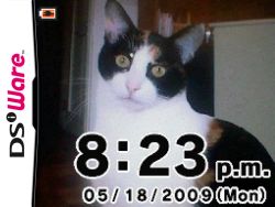 All DSiWare Games - Nintendo Life