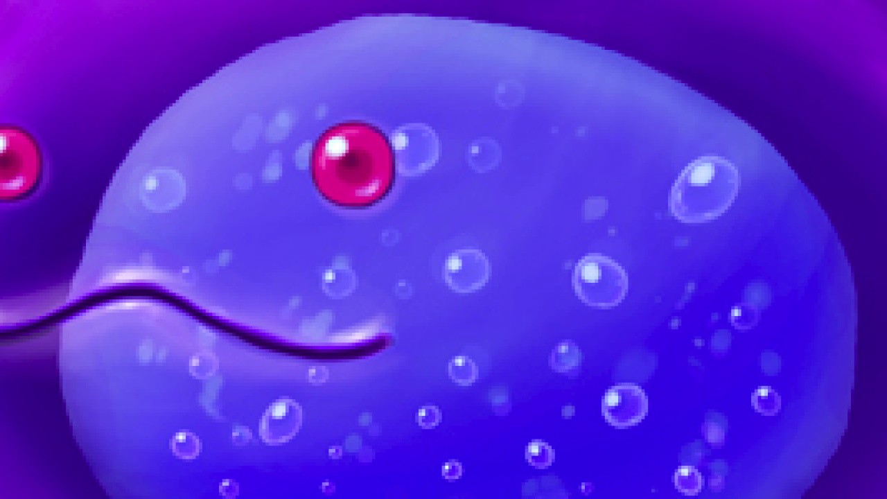 Moki Moki (WiiWare) Game Profile | News, Reviews, Videos & Screenshots