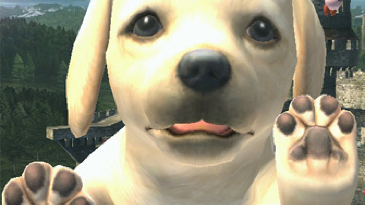 Nintendogs Nearly Went for a Wii in Your Living Room - Nintendo Life