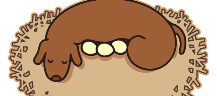 HAL Laboratory Finally Joins Twitter - Nintendo Life