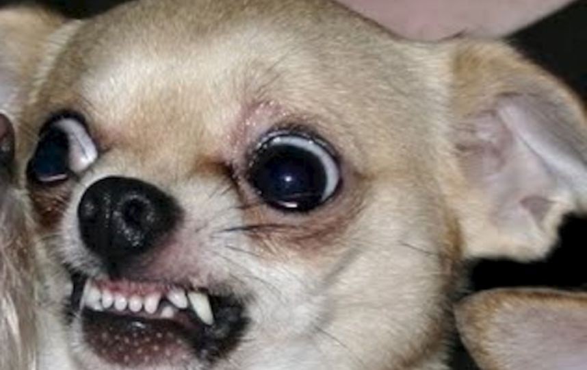 Weirdness: Just Dance 2016 Will Include An Exclusive Song About ...