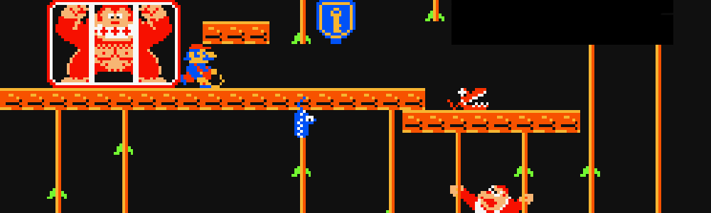 Donkey Kong Jr. Review - NES | Nintendo Life