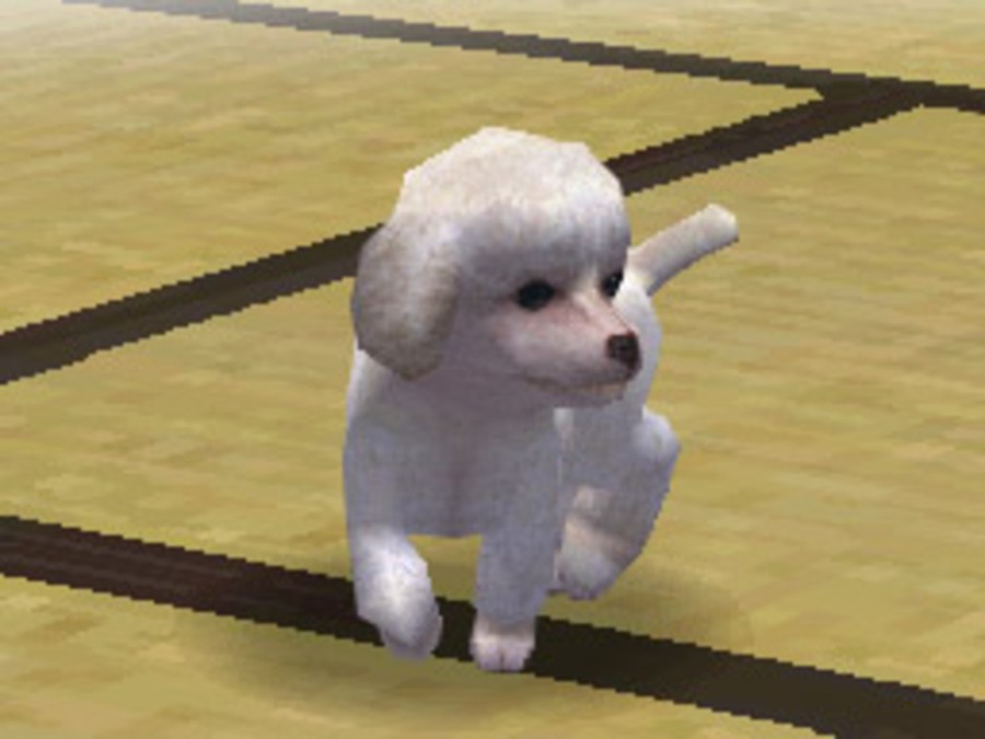 Nintendogs (DS) Screenshots