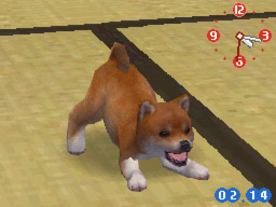 Nintendogs (DS) Screenshots