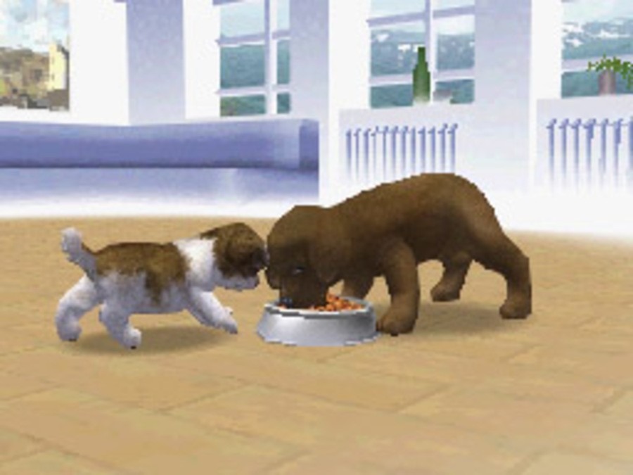 Nintendogs (DS) Screenshots