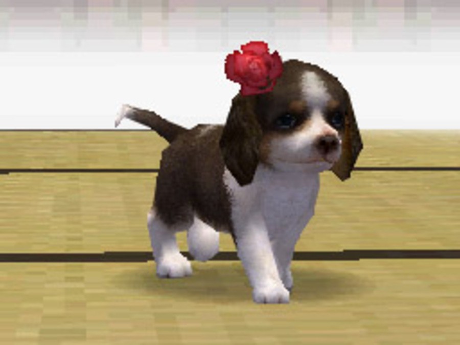 Nintendogs (DS) Screenshots