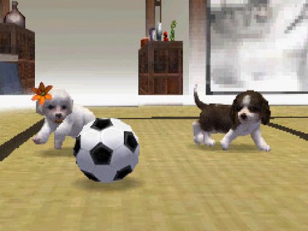 Nintendogs (2005) | DS | Screenshots