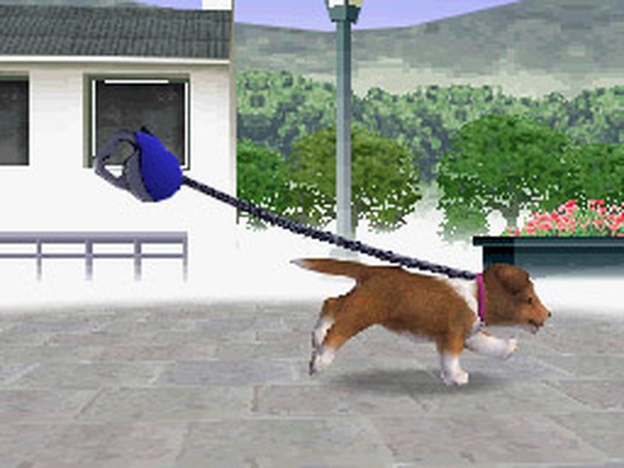 Nintendogs (DS) Screenshots