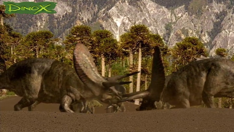 Dinox Review (Wii U eShop) | Nintendo Life