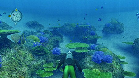 Endless Ocean (2007) | Wii | Screenshots